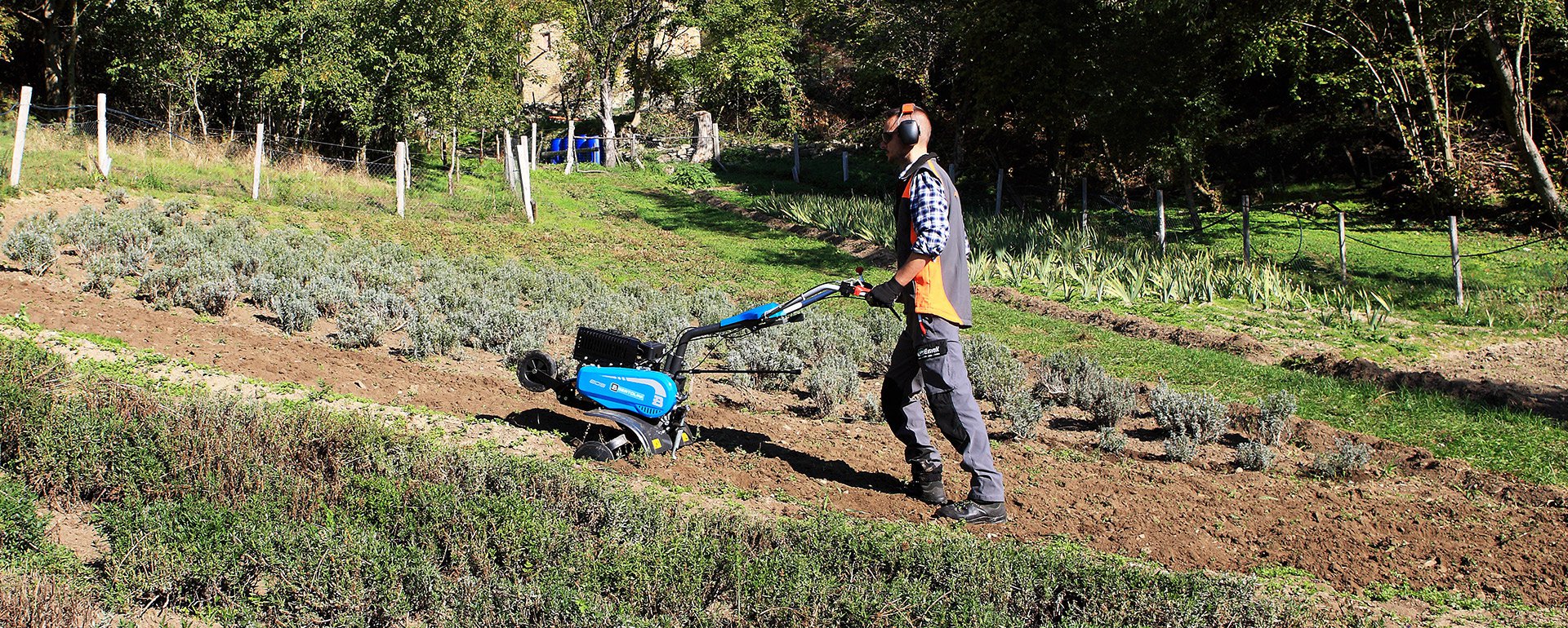 Bertolini: Prodotti per la Cura del Verde - Bertolini